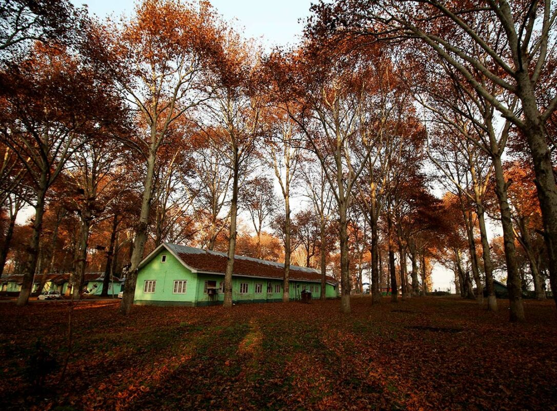 Autumn turned ugly | Kashmir Life - Latest News & Breaking News from ...