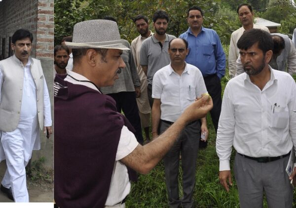Farmer is heart, trader is mind of horticulture sector: Basharat ...