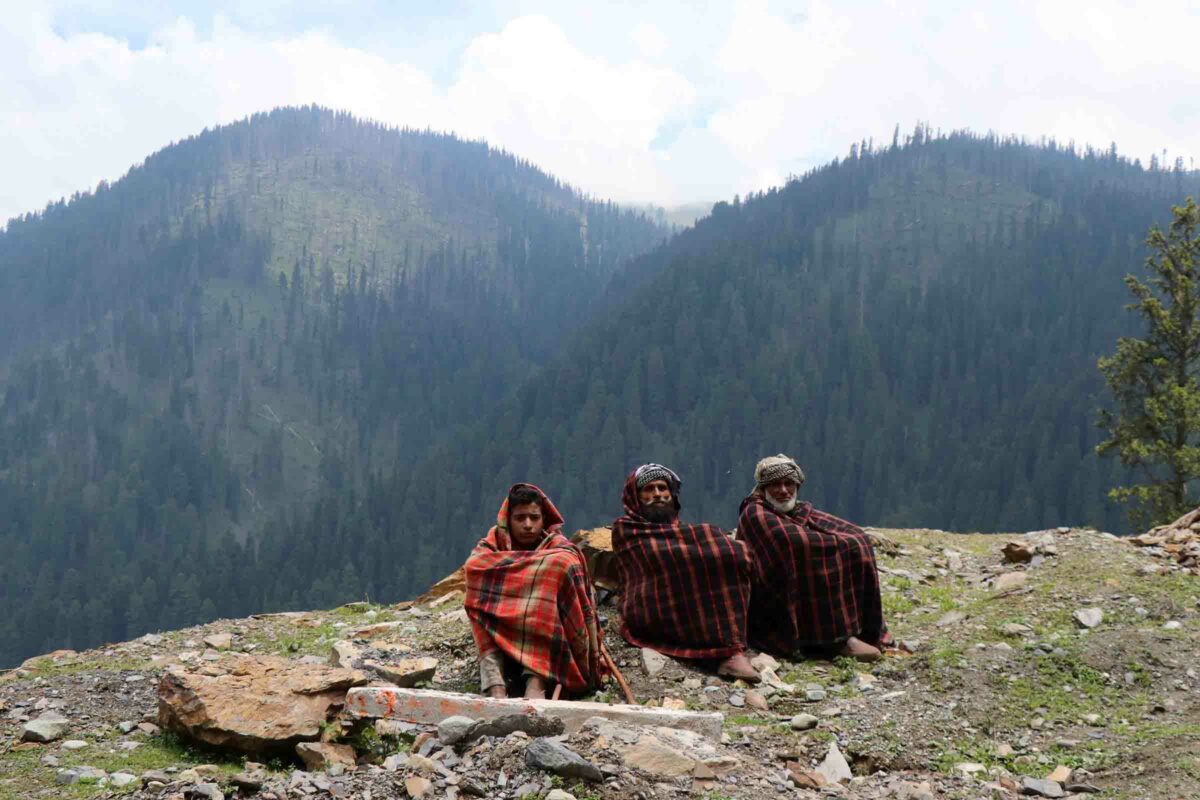 Bakerwal Community Starts Return Journey To Deep Date With JK Polls ...