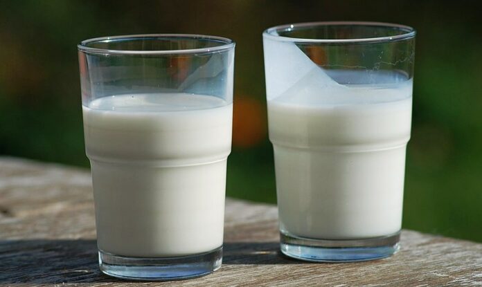 Gurus: The Kashmir Drink | Kashmir Life - Latest News & Breaking News ...