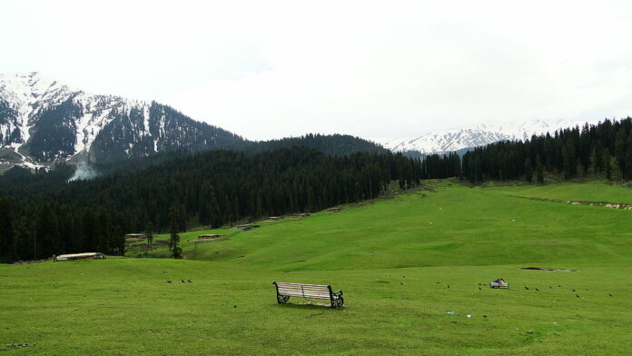 Doodhpathri: An Introduction | Kashmir Life