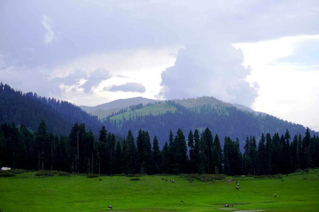 Doodhpathri: An Introduction | Kashmir Life