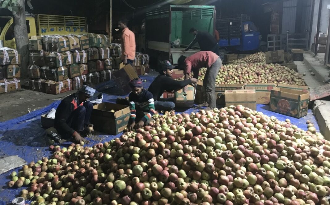 Jammu Kashmir’s Apple Production Steady at Two Million Tonnes Annually ...