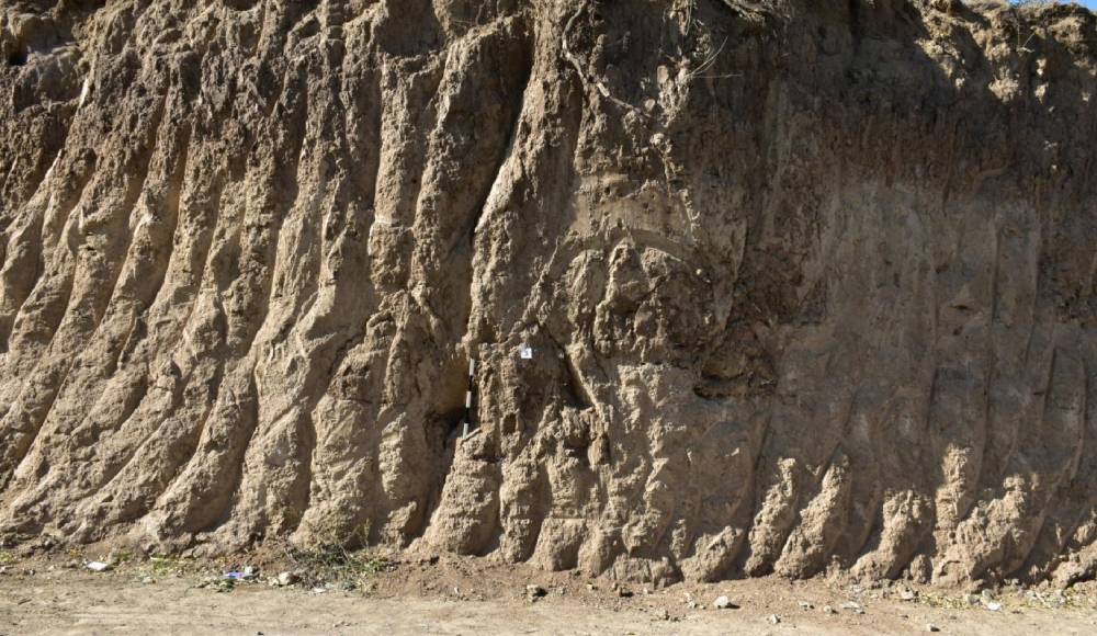 Newa Discovery Offers Glimpse Into Kashmir's Stone Age Traditions
